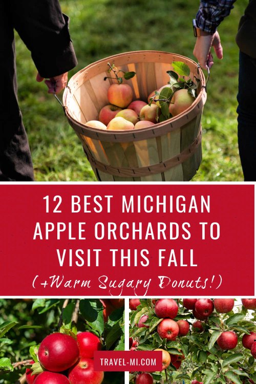 Top 12 Michigan Apple Orchards(U-Pick,Donuts)Worth Visiting This Fall